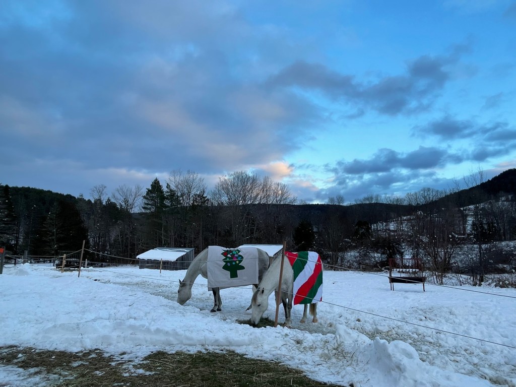 Past MRT Events – MoonRise Therapeutics